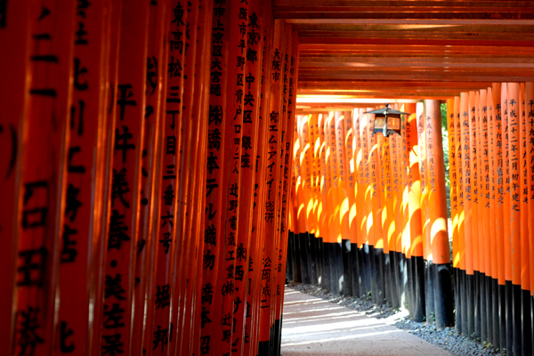 BTTF2 - バロックデザインワークス - 愛知・岐阜・三重・東京・大阪の注文住宅、設計事務所